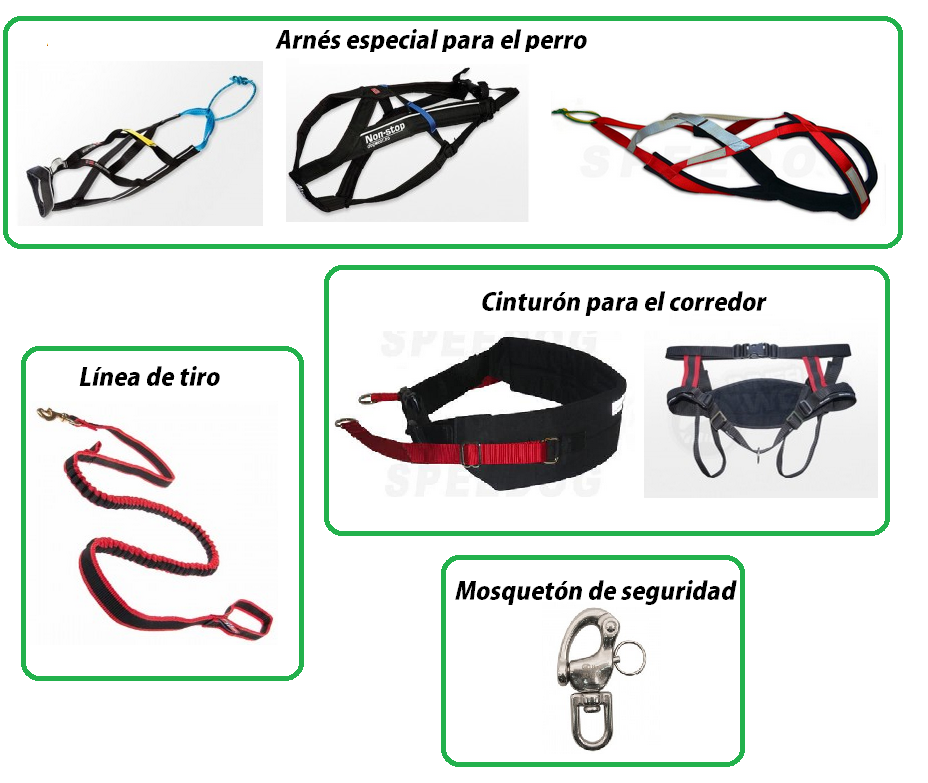 Modalidad «Canicross» – CDI MusCoVa