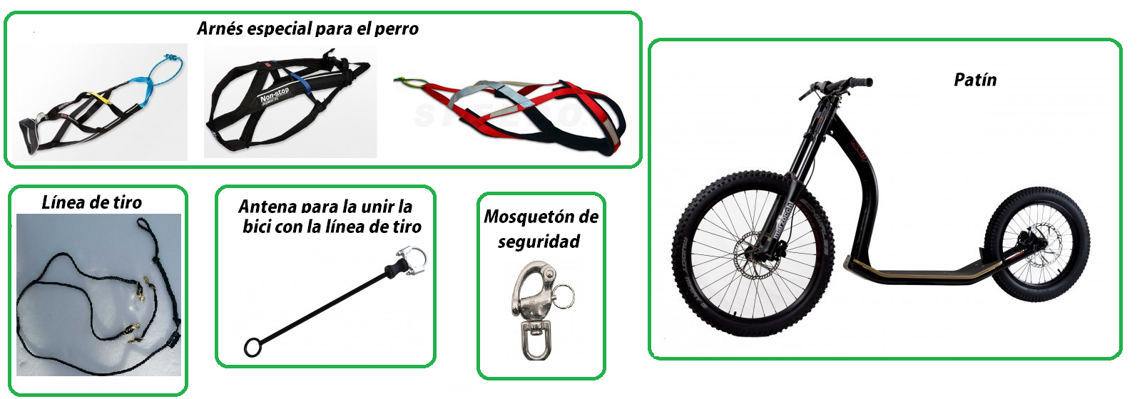 Modalidad «Patín» – CDI MusCoVa