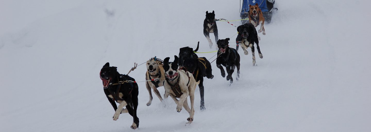 Modalidad «Carro» – CDI MusCoVa