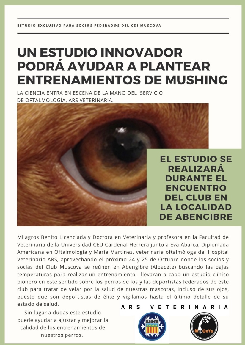 ESTUDIO OFTALMOLÓGICO EN PERROS DE COMPETICIÓN – CDI MusCoVa